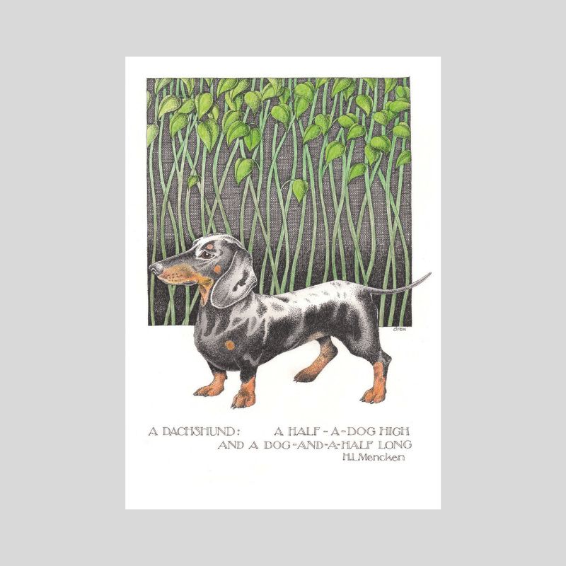 A Dachshund, A Half A Dog High And A Dog And A Half Long – Papermint Store